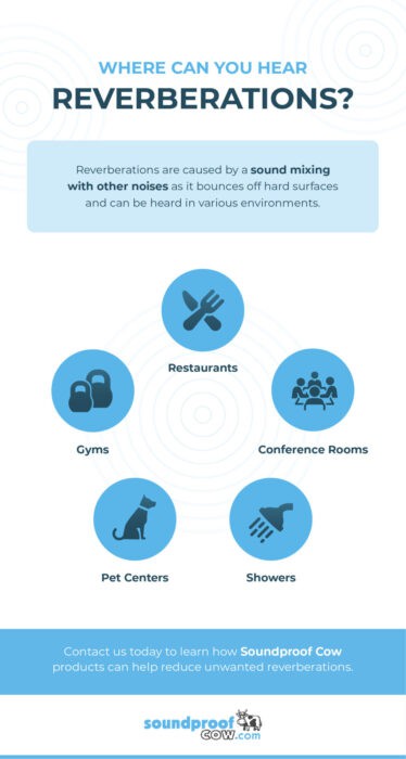Echo Vs Reverberation | What's the Difference?