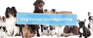 Dog Kennel Soundproofing Solutions | Soundproof Cow