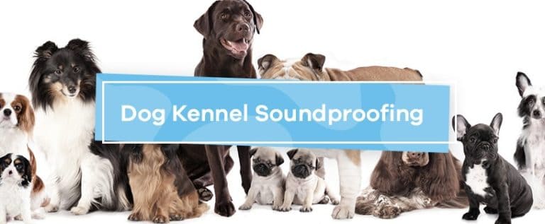 Dog Kennel Soundproofing Solutions | Soundproof Cow