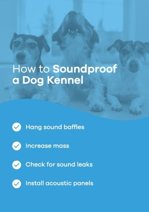 Dog Kennel Soundproofing Solutions | Soundproof Cow