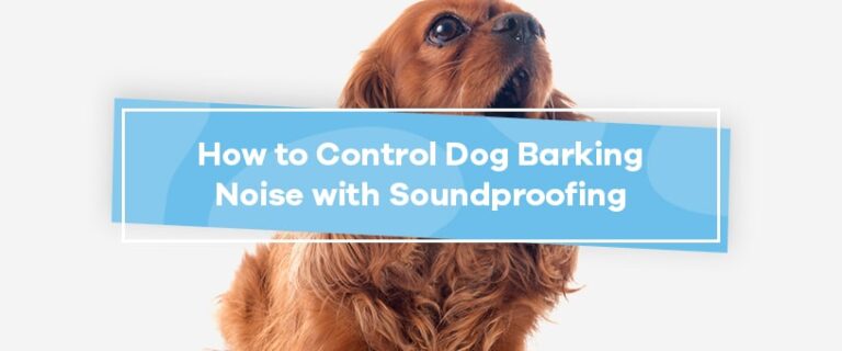 Tips to Control Dog Barking Noise with Soundproofing